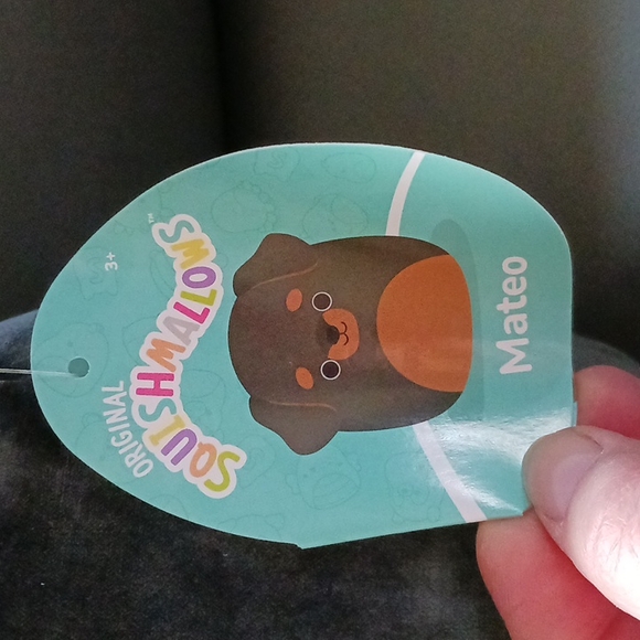 Squishmallows | Toys | Squishmallow Rottweiler Dog Mateo Nwt Stuffed Plush Toy | Poshmark